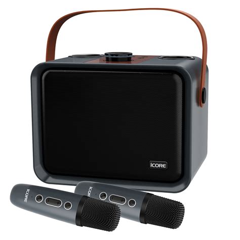 Loa karaoke mini giá rẻ Giao hàng tận nơi ưu đãi 2025