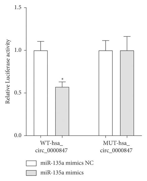 The Relationship Between Hsacirc0000847 And Mir 135a Double