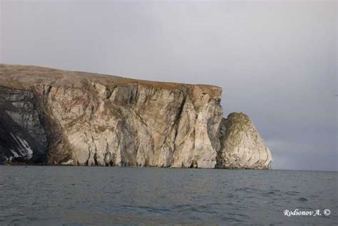 Wrangel Island | Russia, Arctic, Landscape
