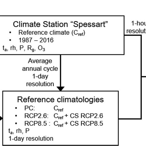 Schematic Representation Of The Workflow For Generating The Try Download Scientific Diagram