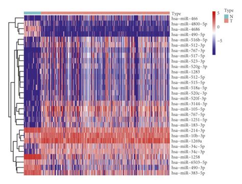 Construction Of Prognostic Crm Signature In Tcga Cohort Heatmap A Download Scientific