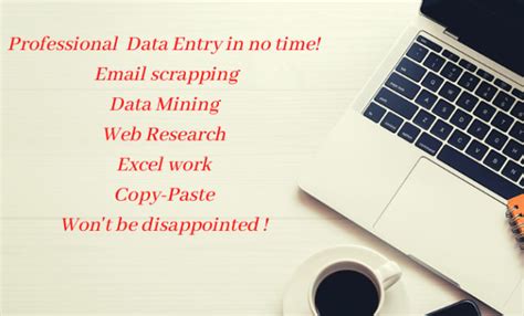 Do Data Entry Excel Data Cleaning Copy Paste Web Scraping By Sameera