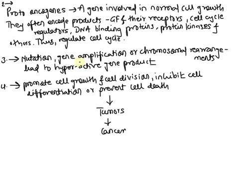 Solved Explain Proto Oncogenes And How These Genes Regulate The Cell Cycle Explain The Reasons