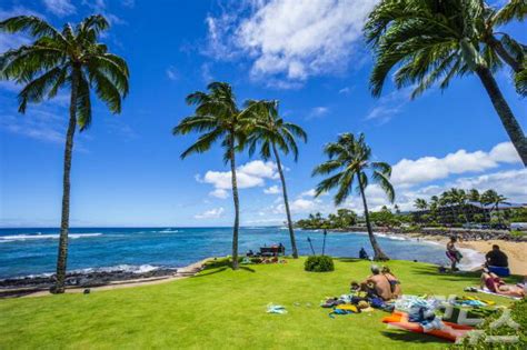로망의 섬 하와이 이웃섬도 함께 떠나볼까 노컷뉴스