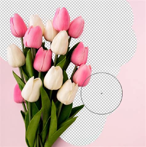 How To Use Background Eraser Tool In Photoshop CC