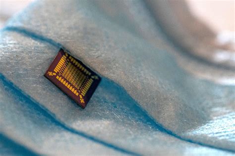 Silk Based Transistors Pioneering Hybrid Electronics Revolution
