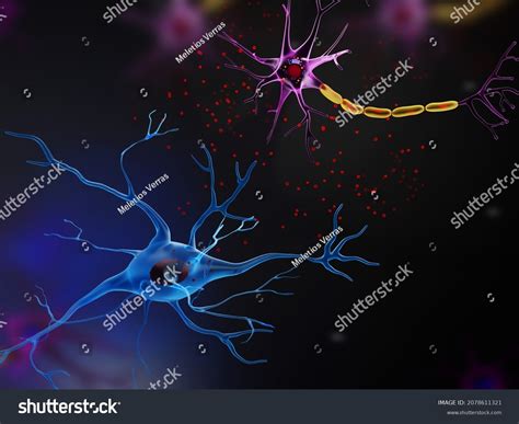 Microglial Cells Over 22 Royalty Free Licensable Stock Illustrations
