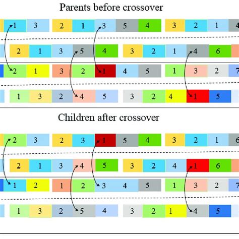 Combined Real Coded Chromosome Structure In Segments Download