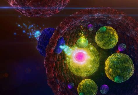 Scientists Created Artificial Cells Similar To Human Cells Tabloidpk