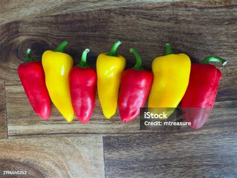 빨간색과 노란색 칠리 페퍼 가 번갈아 가며 7 그루의 줄의 클로즈업 이미지 나뭇결 배경 높은 전망 0명에 대한 스톡 사진 및 기타 이미지 Istock