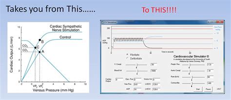 Usa Cardiovascular Simulator