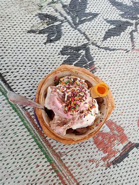 Coconut Shell Ice Cream Stock Image Image Of Coconut 263885005