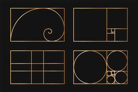Golden Ratio Representation Vector Art Icons And Graphics For Free Download