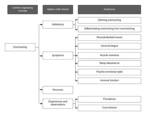 Schematic Representation Of Central Higher Order And Subthemes Download Scientific Diagram