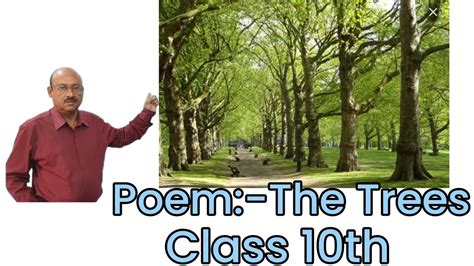 The Trees Poem Class Th Detailed Description Of Poem The Trees YouTube