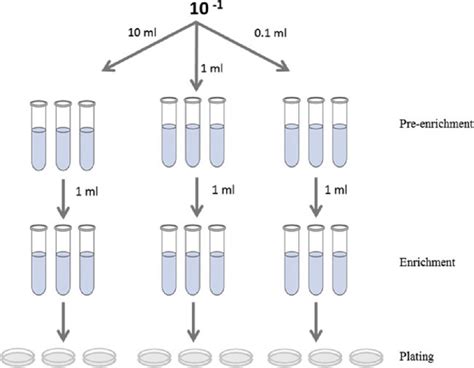 Most Probable Number Mpn Test Principle Procedure 56 Off