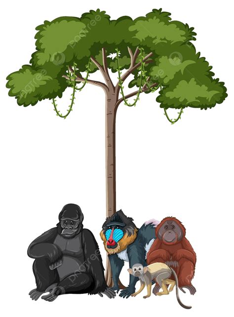Rainforest Tree With Untamed Wildlife On A Blank Canvas Vector
