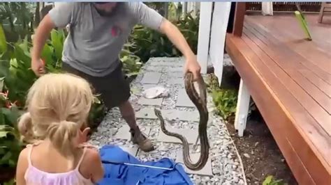Snake Attacks Dads Heroic Act As Python Attacks Puppy Au