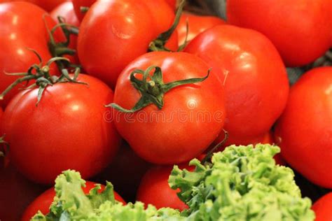 Group Of Organic Fresh Tamatoes Red Dressing Decorated Vegetables
