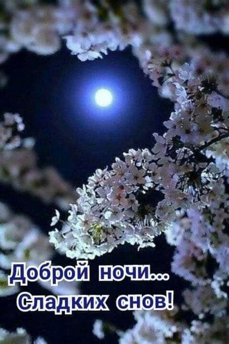 Доброй ночи Мира и благословений вам дорогие друзья 💜