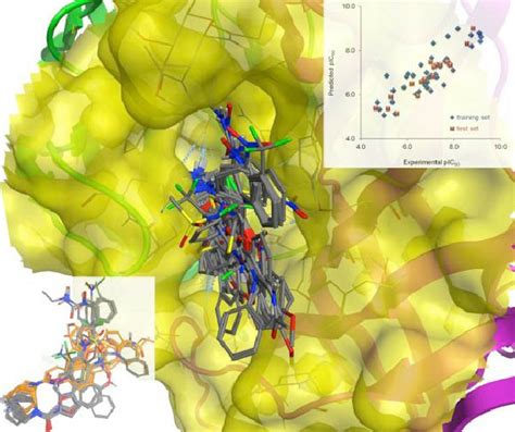 A 7 Ligand Binding Mode Hypothesis Left Experimental Vs Predicted