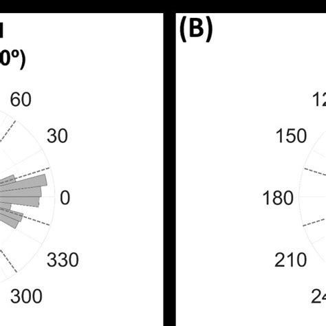 Rose Plot Of Phase Accuracy For Valid Trials Across Participants A In Download Scientific