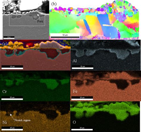 a b cross section sem micrograph with corresponding ebsd diagram and