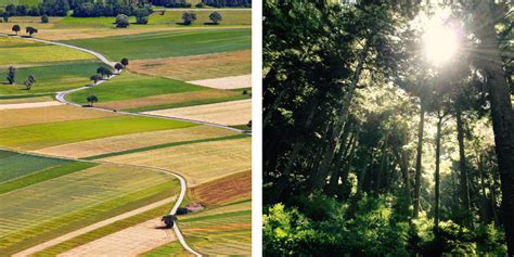 Evolutionary Virology With Dr Arvind Varsani Psomagen