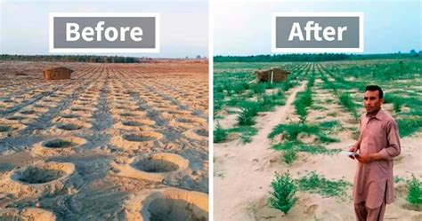 The Billion Tree Tsunami Restoration Of The Lost Forest Roots Of Indian