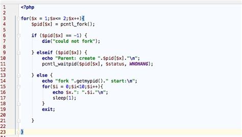 Why Appear Linux Host Path In The Process Of The Code Echo Usage
