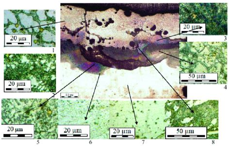 Optical Micrographs Showing The Sem Microstructures Of The Ded Of A