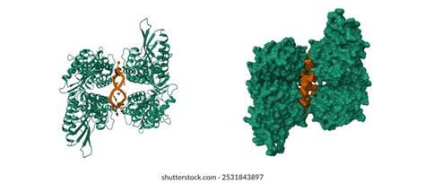 Catalytic Over 1 352 Royalty Free Licensable Stock Illustrations