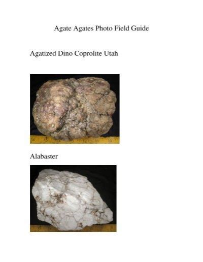 Agate Agates Photo Field Guide