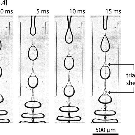 Optical Micrographs Top View Of The Orifice Channel Illustrating The