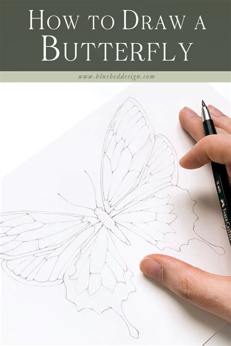 Watch Over My Shoulder As I Draw This Realistic Butterfly Freehand