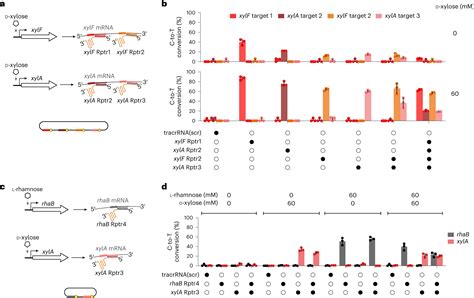 Deciphering Disease Progression And Cell Processes With TIGER In Vivo And Non Invasively