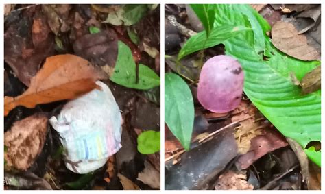 Búsqueda De Los Niños Desaparecidos En Caquetá Este Es El Mapa De La