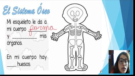 Como Enseñar El Sistema Oseo A Niños De Primaria Una Guía Fascinante