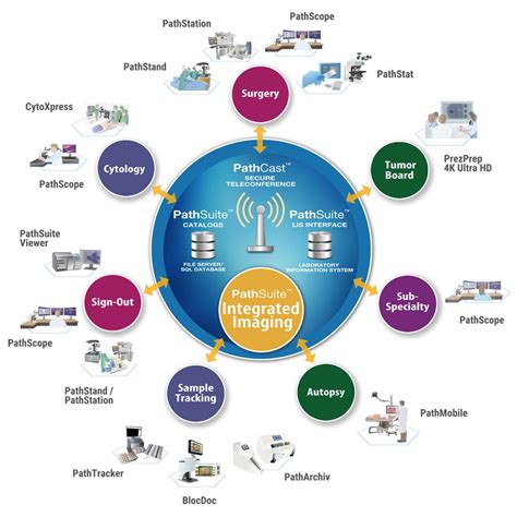 How Spot Imaging Helps Pathology Laboratories With Lean Pathology