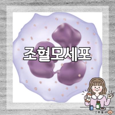 조혈모세포이식 조혈모세포 기증 방법과 부작용 네이버 포스트 조혈모세포이식 조혈모세포 기증 방법과 부작용 네이버 포스트