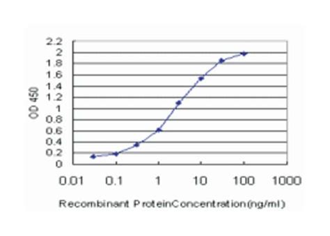 Serum Response Factor C Fos Serum Response Element Binding Transcription Factor Mouse Clone