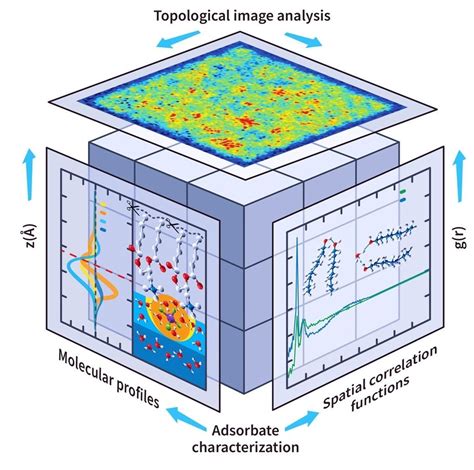 Nitesh Kumar On Linkedin Can We Identify Topological Features That Are
