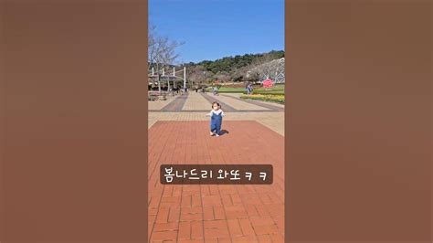 또또 또희 일상 327 봄 벚꽃 나드리 좋은날 3살 가족 Youtube