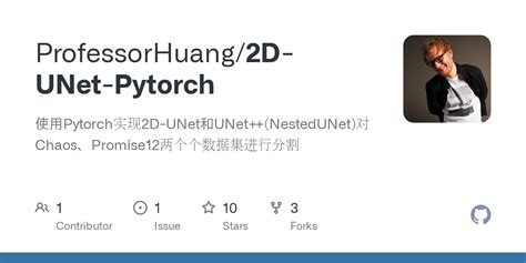 Github Professorhuang2d Unet Pytorch 使用pytorch实现2d Unet和unet