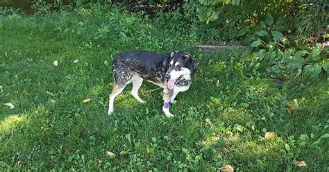 Unremitting Love Album On Imgur