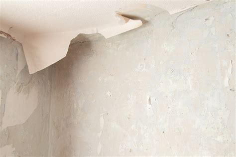 주거용 건물의 방에서 벽에서 오래된 종이 벽지를 제거하고 개조 0명에 대한 스톡 사진 및 기타 이미지 0명 개념 개념과 주제 Istock