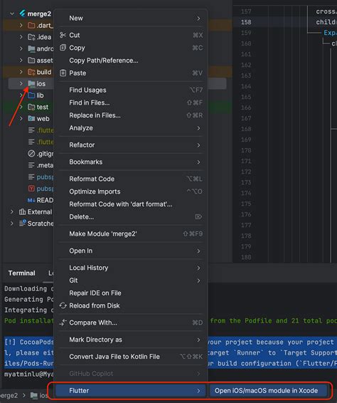 Fix Flutter All Pod Errors Issue Сocoapods Trunk Url Couldnt Be By