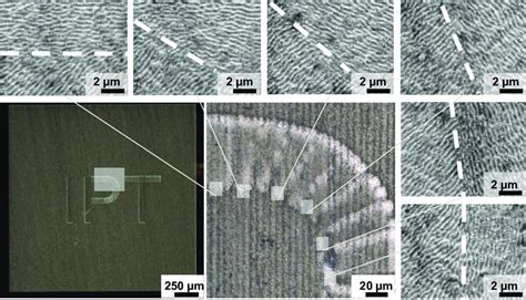 Switching Of The Polarization Direction In Different Fields Of The Text