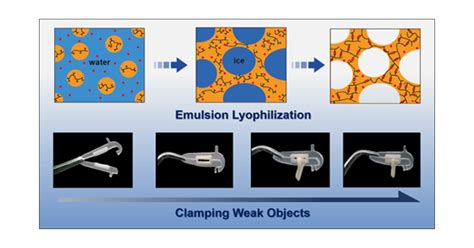 Emulsion Lyophilization As A Facile Pathway To Fabricate Stretchable