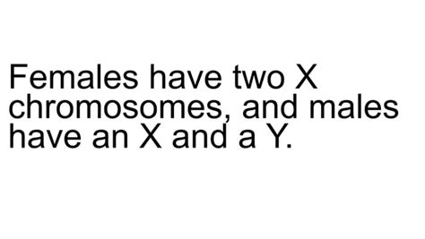 Sex Linked Traits Ppt